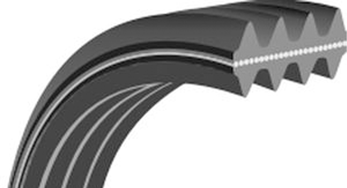 Flexer | Homepage